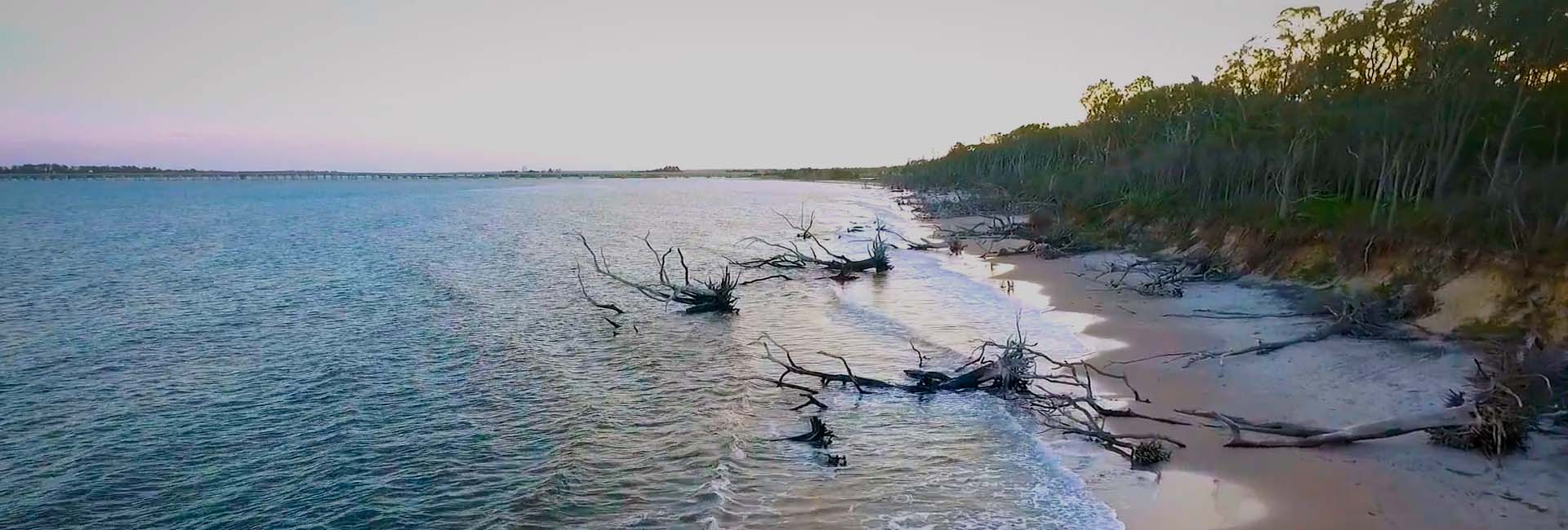 Spine & Pain - Coastal Health